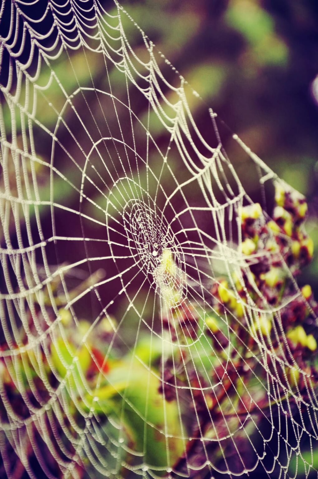 Musings on the spirit of the spinners and weavers - Weaving with the ...